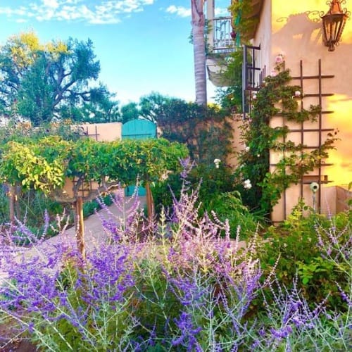 Gifts for the Gardener they will Actually Use - Cindy Hattersley Design