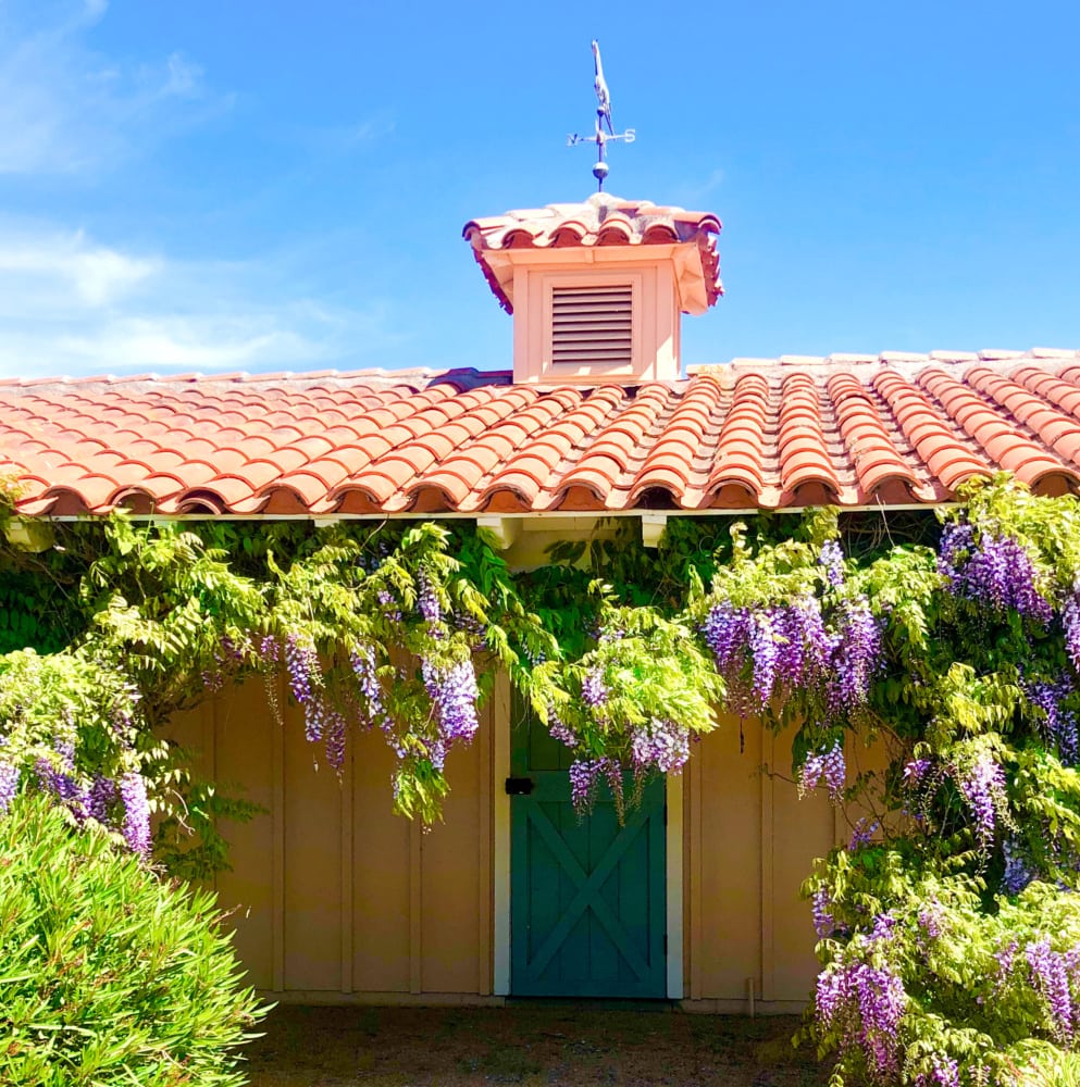 Spanish Revival Barn and Grounds - Cindy Hattersley Design