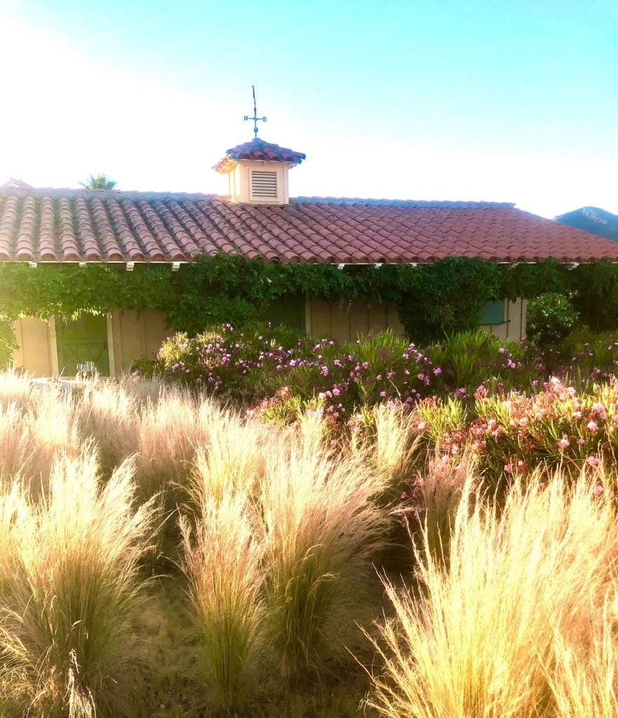 Spanish Revival Barn and Grounds - Cindy Hattersley Design
