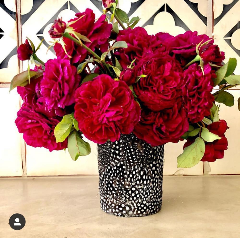 Nine Great Vases you should have in your Arsenal - Cindy Hattersley Design