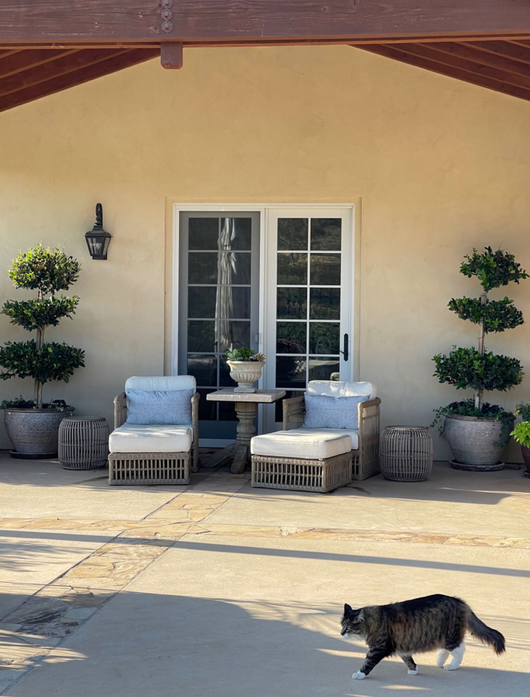 How to Make the Most of Your Patio Space - Cindy Hattersley Design