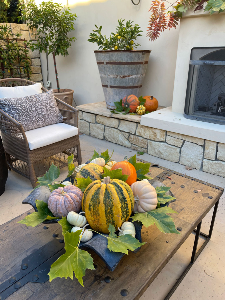 Easy Foraged Outdoor Fall Decor You Will Love - Cindy Hattersley Design