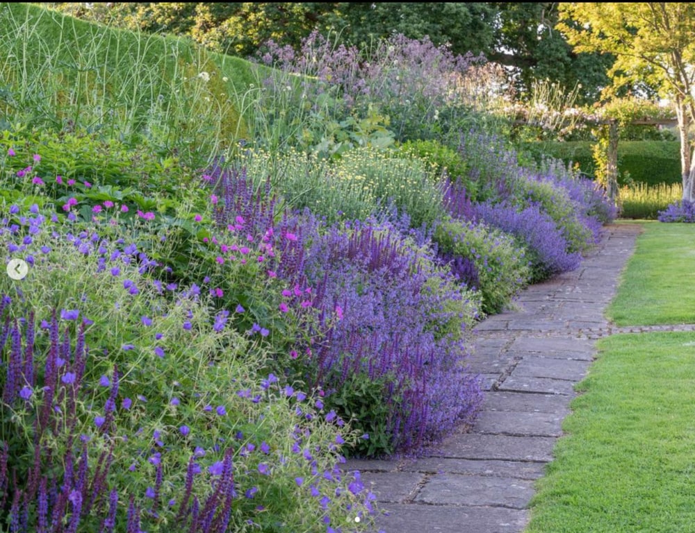 Do You Love Old Movies, Purple Gardens & More - Cindy Hattersley Design