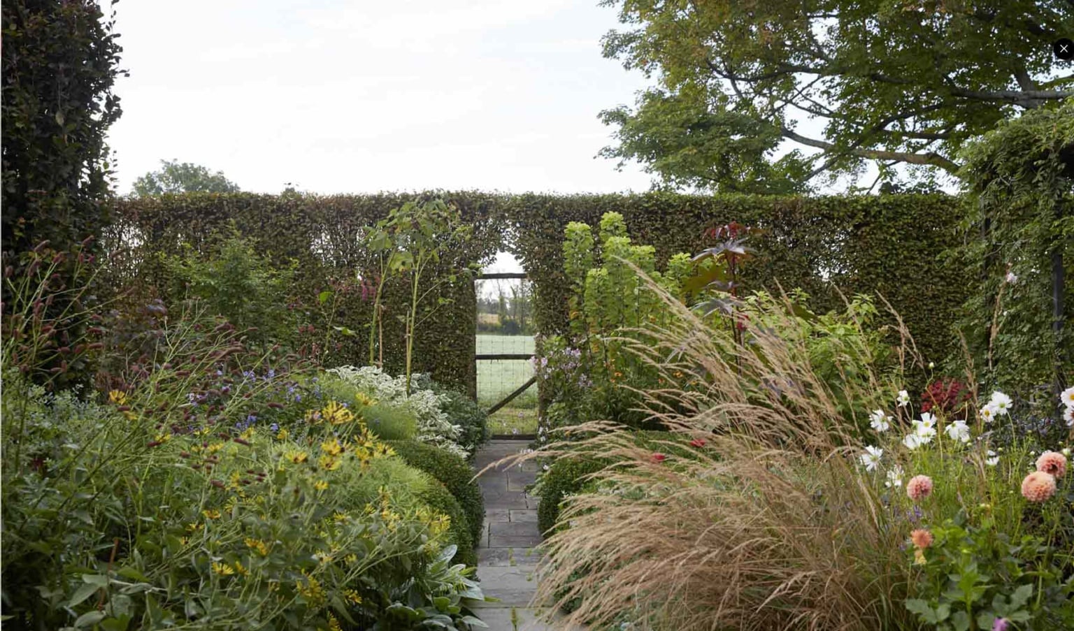 A Healthy Soup, a Beautiful Garden and a Casual Outfit you will Love ...